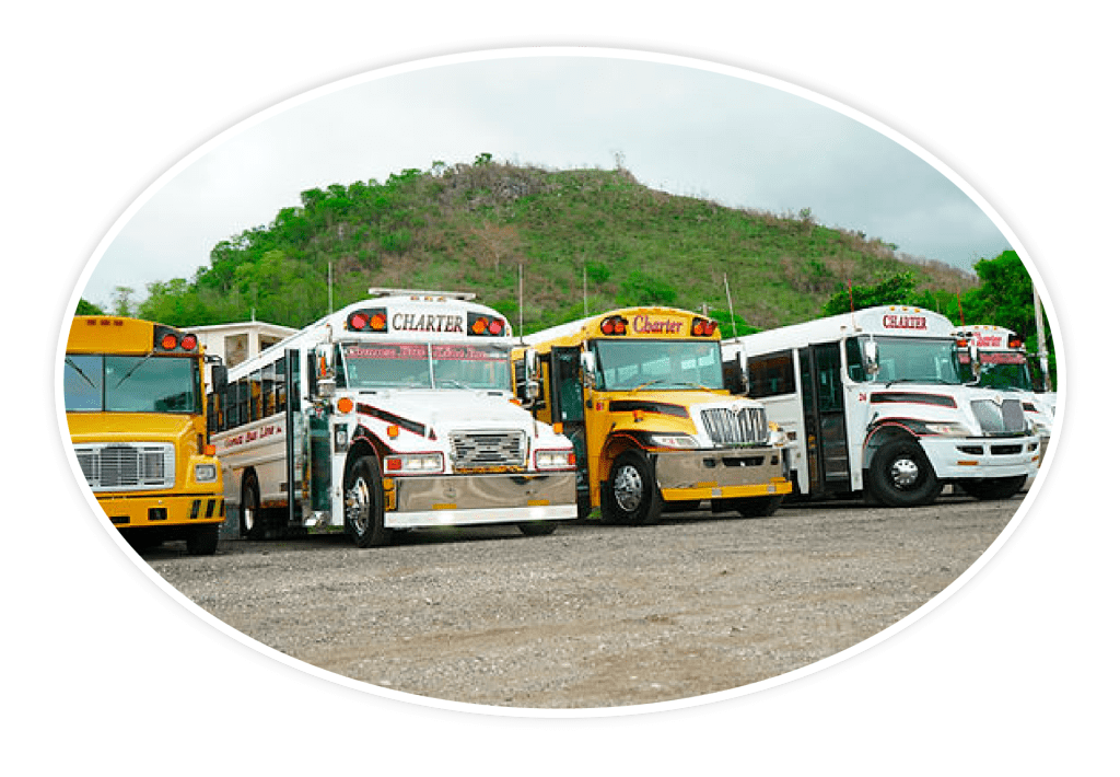 Empresa de transporte | Gómez Bus Line / Caribe Tours | Puerto Rico